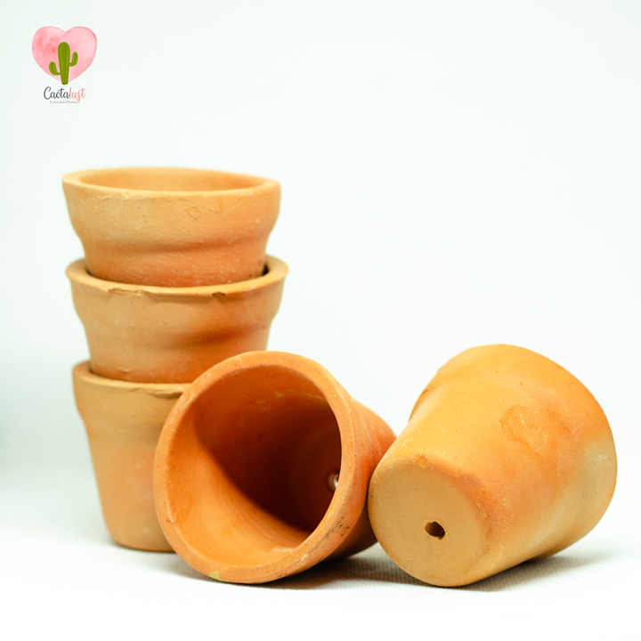 Cactalust - Small Cylinder Terracotta pots- Home Décor & Wellness ...