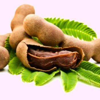 Tamarind ('Siyabala') 10 seeds pack for home garden සියඹලා | Daraz.lk