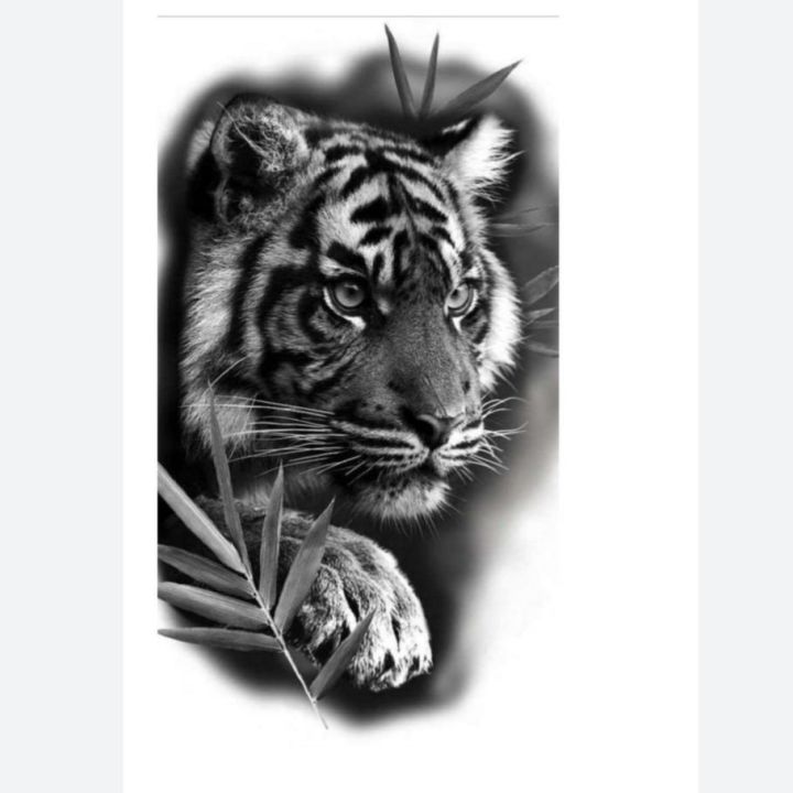 High Quality Vehicle Decore Sticker (30 x 16 cm) For Car | Van | Bike ...