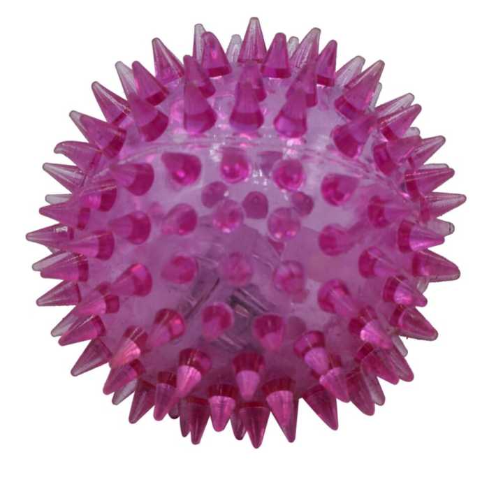 Spikey Stress Ball-Purple | Daraz.lk