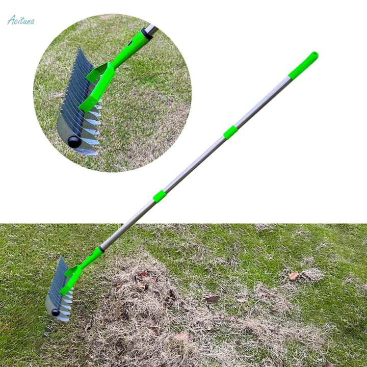 Lawn Thatching Rake Dethatcher Rake for Loosening Soil Dethatching Lawn ...