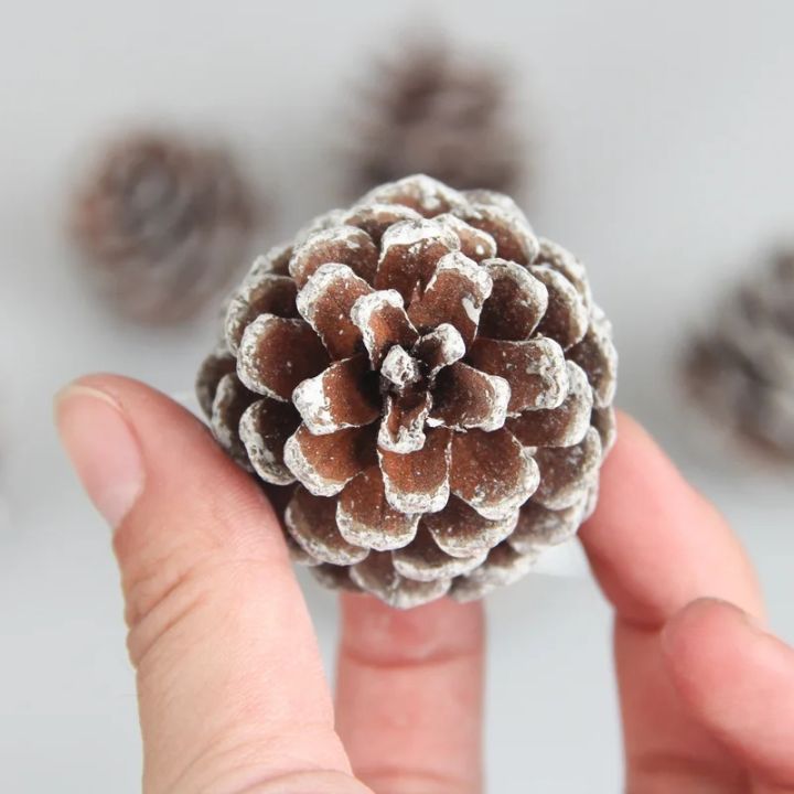 Natural Pine Cone Christmas Ornaments – 6cm, Set of 6, White-Tipped ...