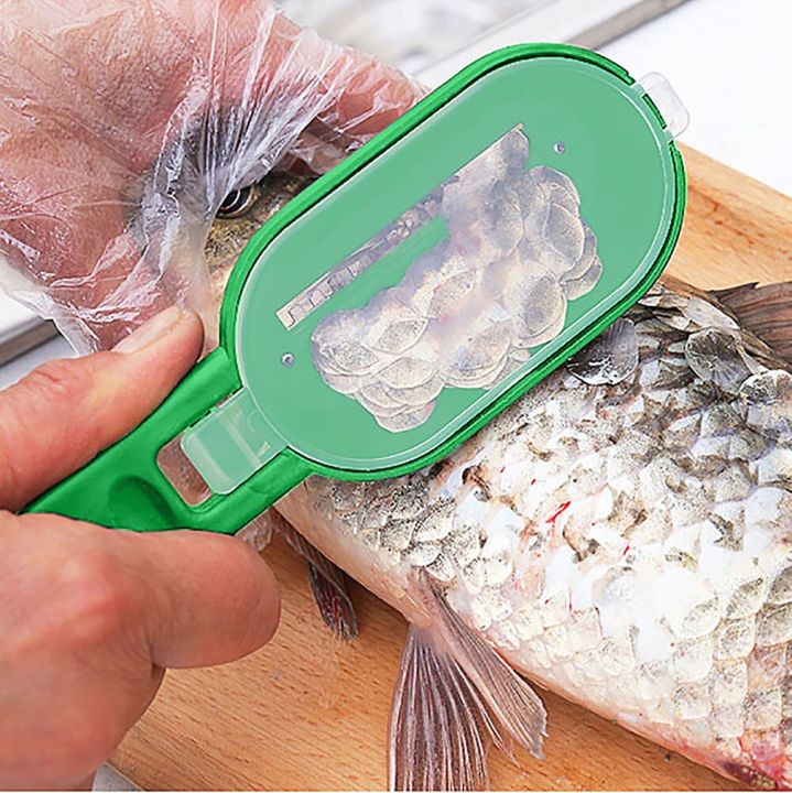 Plastic Fish Scales Scraper | Daraz.lk