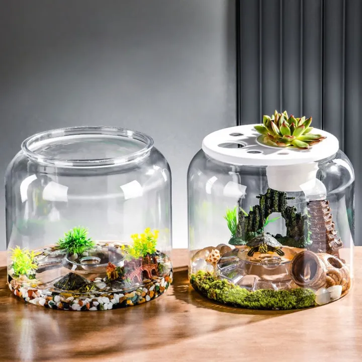 Practical Transparent Round Fish Plastic with Cover Hydroponic Fish ...