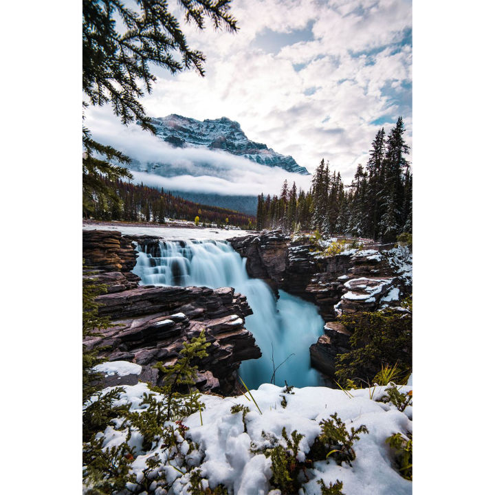Nature Wall Poster / size 18x12 inches / Printed / posters / IMG 26.25 ...
