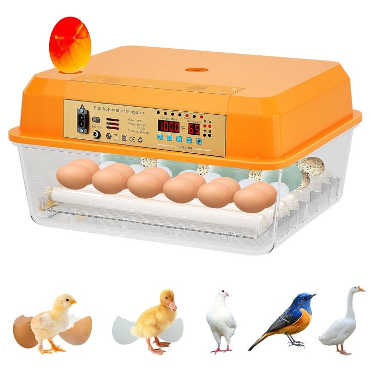 36 Eggs Incubator Fully Automatic | Daraz.lk
