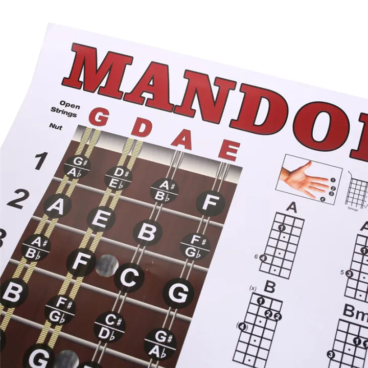 NAMUNY Mandolin Poster Chart Chord Musical Trainning Instrument Guide ...