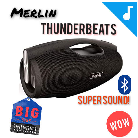 Merlin Bluetooth TWS Super deep Bass speaker ThunderBeats handsfree mode | Daraz.lk
