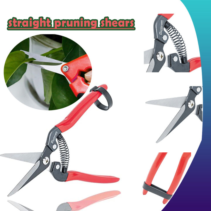 Straight Pruning Shear Garden Shearing Pruning Shears Stainless Steel ...