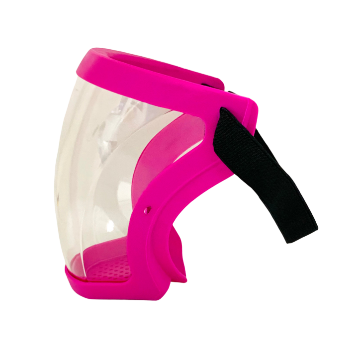 Hybrid Respirator Active Face Shield - Kids - Purple | Daraz.lk