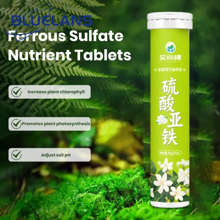 Nutrient Ferrous Sulfate Tablet Boost Plant Growth with 22pcs Slow ...