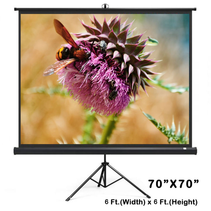 Portable Tripod Projector Screen (70"X70") | Daraz.lk