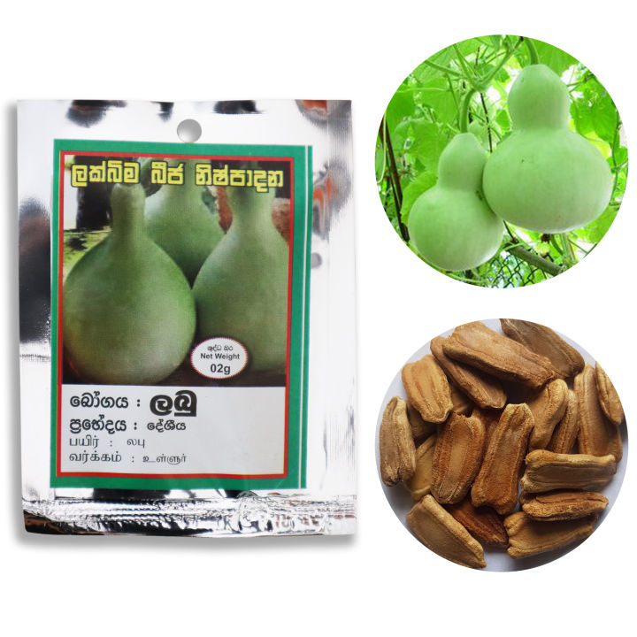 Local Bottle Gourd Seeds Labu Beeja දේශීය ලබු බීජ 2g Home Gardening ...
