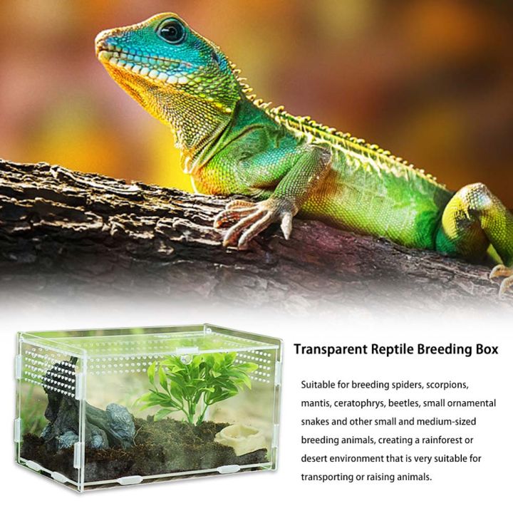 Transparent Acrylic Insect Container Lizard Snakes Hatcher Breeding Box ...