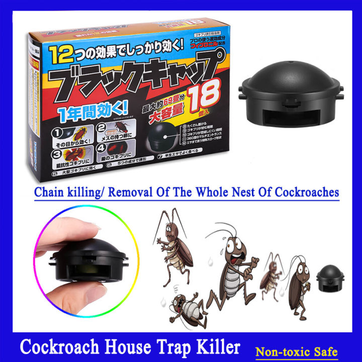 【BestGo】Cockroach Japanese little black hat cockroach medicine a nest ...