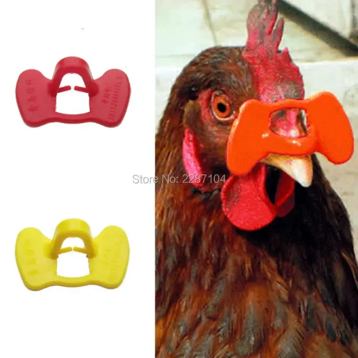 50 New Pinless No Pin Bolt Bird Chicken Peepers Eye Glasses Pheasant ...