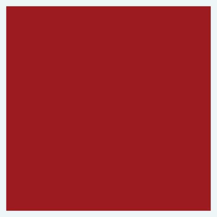 Enamel Paint (Gloss Finish) - Post Office Red - 1/2L | Daraz.lk