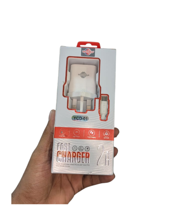 WISDOMUP Fast Charger – Small, Powerful & Smart | Daraz.lk
