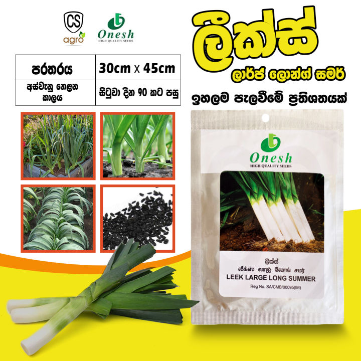Leeks Large Long Summer Seeds 10g beeja Home Garden Quality seed ...