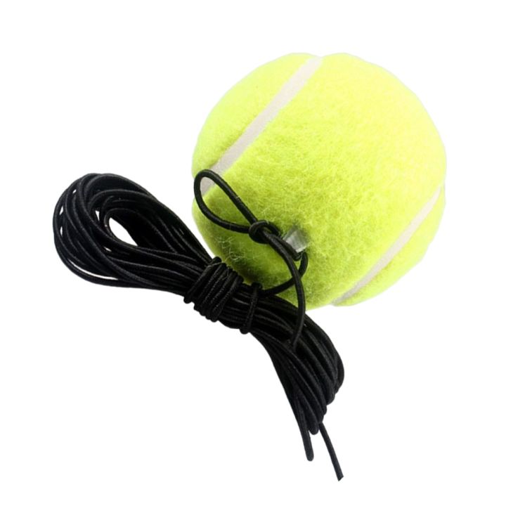 Tennis Ball Yard Backyard Room Training Practice Beginners Learners ...