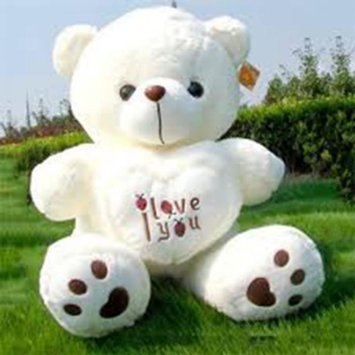 GAS 1 ft Teddy Bear - White | Daraz.lk