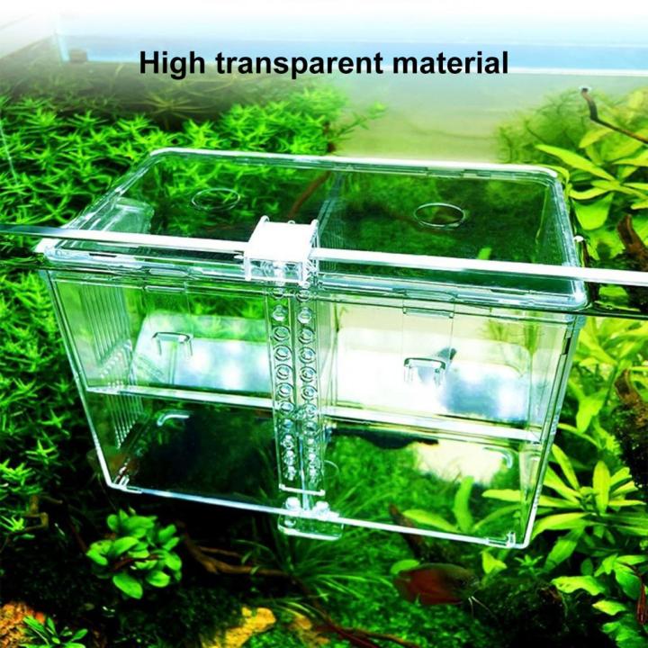 Transparent Large Space Two Layers Fish Breeding Box 2 Compartments ...
