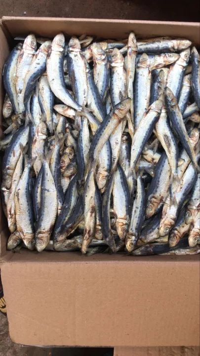 Dry Fresh Keri Meen Karimeen Fish Clean & Gutted Premium Quality ( 100% ...