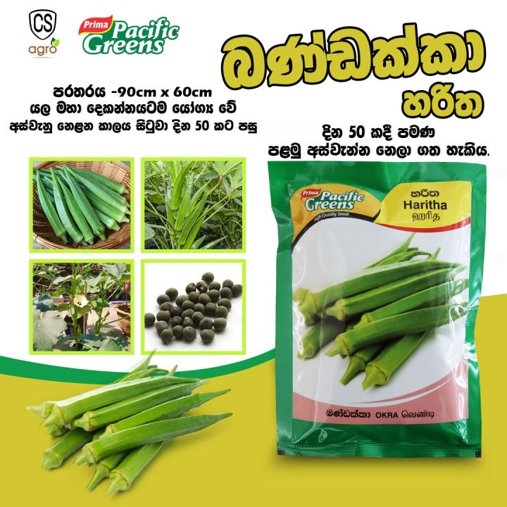 Okra Haritha Bandakka Seeds 100g Home Gardening Agriculture | Daraz.lk