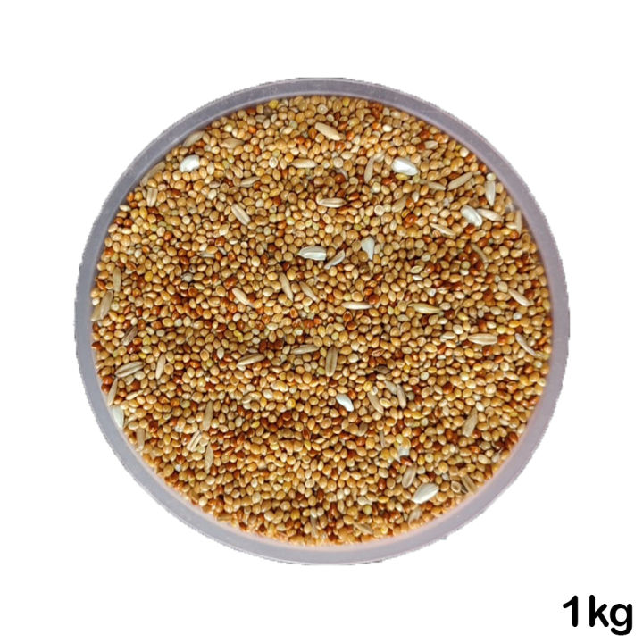 Bajiri Special Mix Bird Feed 1kg Complete Feed for Parrots Bird Food ...