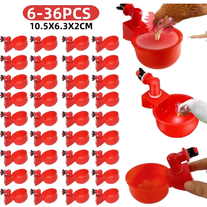 6-36Pcs Chicken Duck Drinking Cup Automatic Drinker Chicken Feeder ...