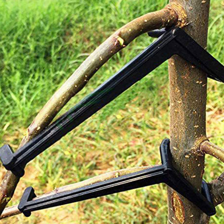 9cm Fruit Tree Branches Holder Fruit Branch Spreader Fruit Plastic ...