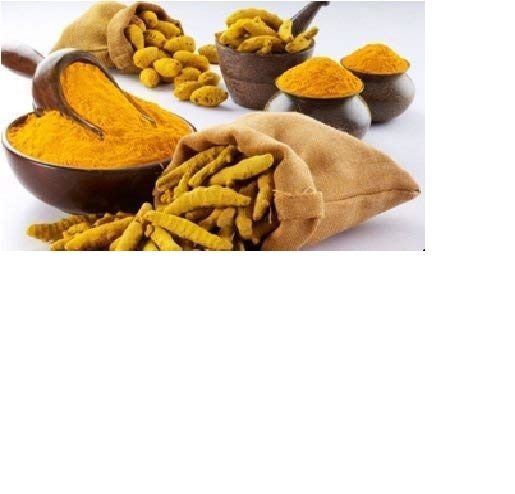 RAINTECH HERBALS Rt Fresh Wild Turmeric| Kasthuri Manjal|Kasthuri Haldi ...