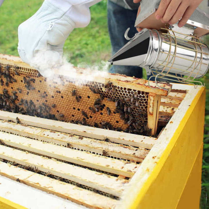 Beehive Smoker W/ Heat Shield Beekeeping Tool Beekeeper Hot | Daraz.lk