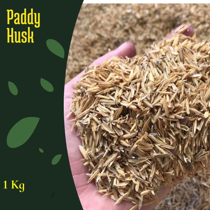 Paddy Husk Fertilizer Organic /Agriculture/Fertilizer-1kg | Daraz.lk