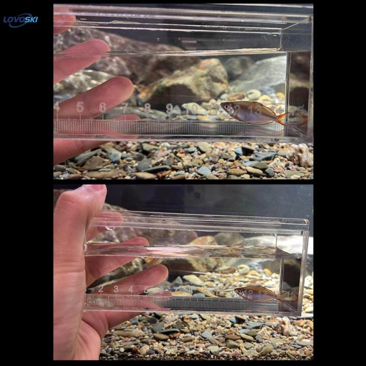 Fishing Photo Tank Acrylic Micro Landscape Tank Holder Viewing Box ...