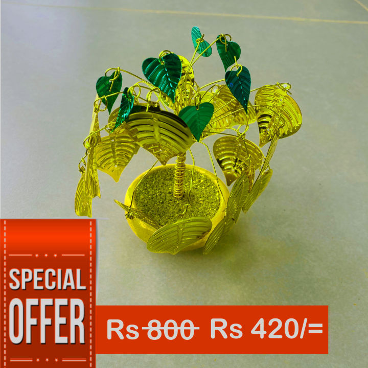 Brassware Gold Plate Bo Gasa | Daraz.lk