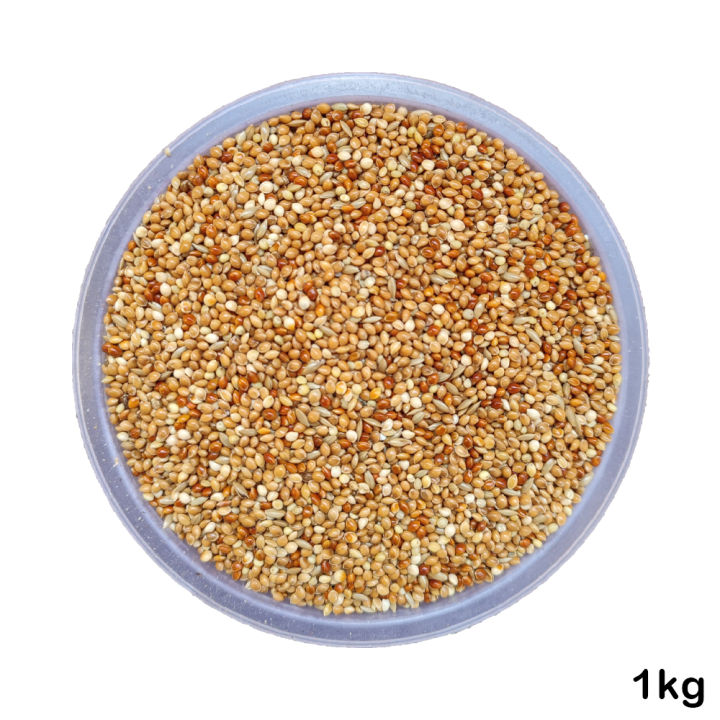 Bajiri Special Mix Bird Feed 1kg Complete Feed for Parrots Bird Food ...