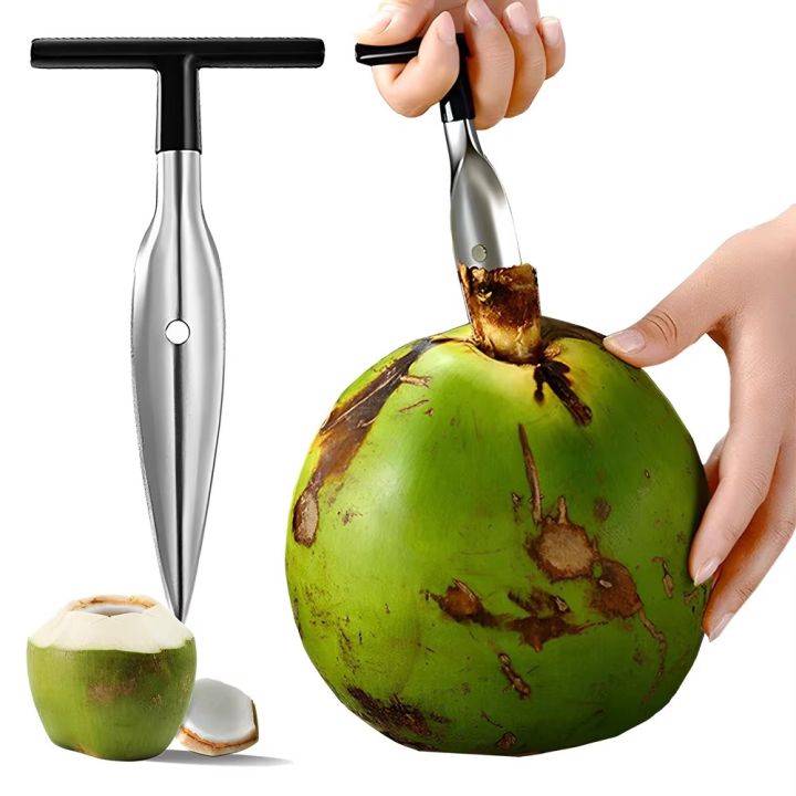 Coconut Opener Tool Coconut Hole Tool Coco Nut Bottle Opener Stainless ...