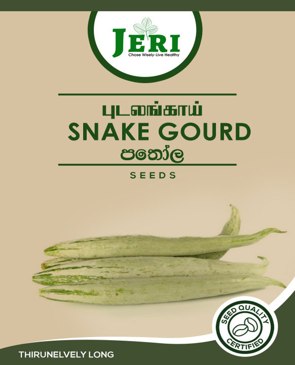 Snake Gourd/පතෝල/Thirunelvely Long/Jeri FarmVegetable Seeds/Green ...