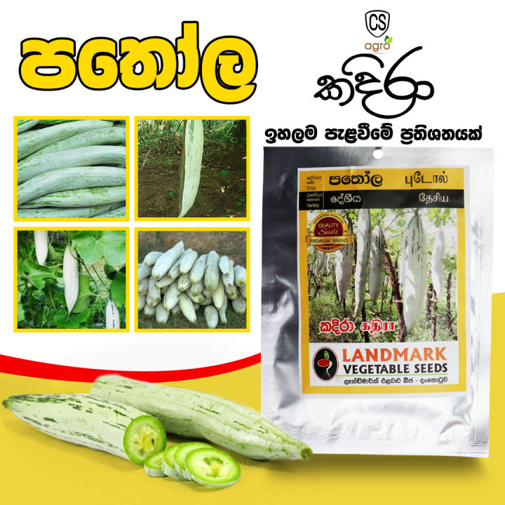 Local Snake Gourd Kadhiraa Seeds Pathola Beeja 10g Home Gardening ...