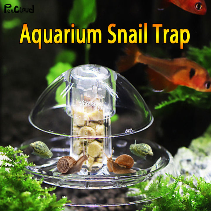 Aquarium Snail Catcher Fish Snail Trap Plants Planaria Pest Catch Box ...