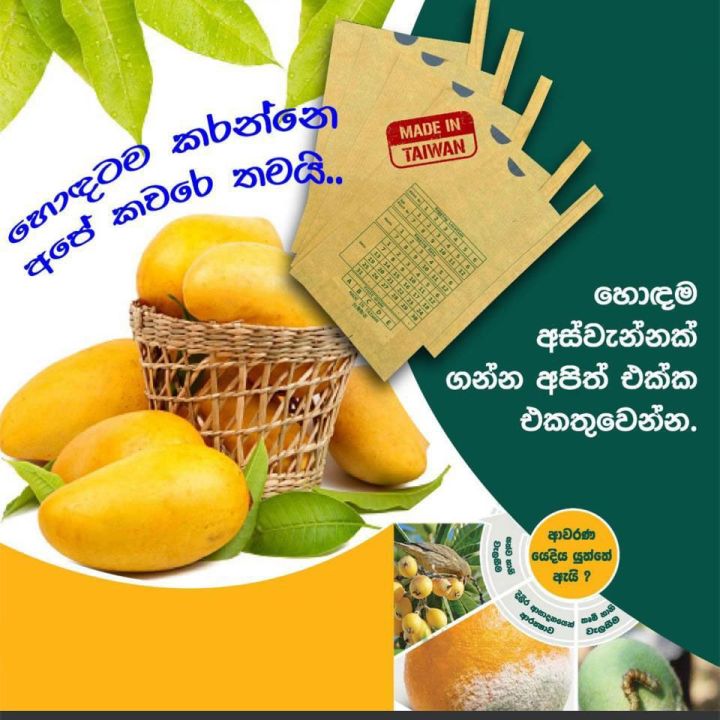 Mangoes Protection Covering Paper Bag 10PCS 8X10 Inch Home Gardening ...