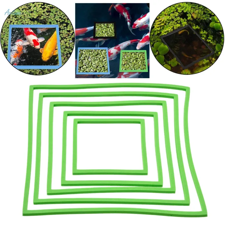 5x Aquarium Grass Blocking Rings Set Aquarium Feeding Rings Portable 5 ...