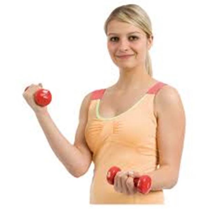 Fixed Weight Dumbbells 1.5 KG / weight equipment (01 pc) | Daraz.lk