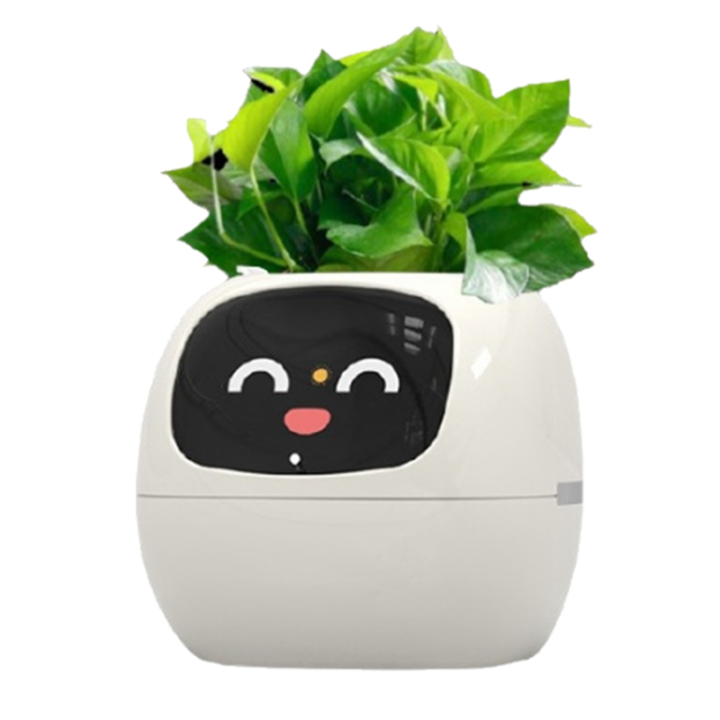 Ivy Smart Planter,USB Rechargeable Indoor Small Flower Pot White | Daraz.lk