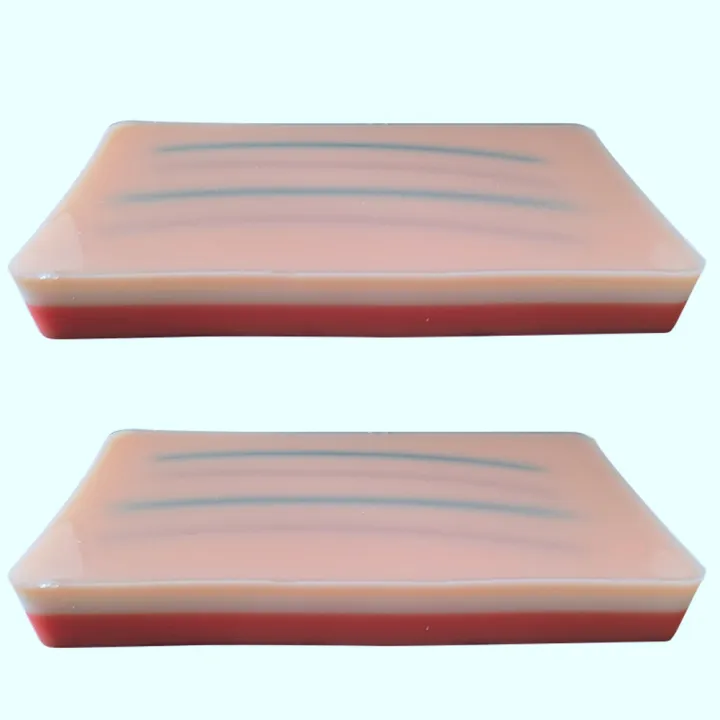 PDTYMWNG 2X Iv Injection Training Pad Model, Silicone Human Skin Suture ...