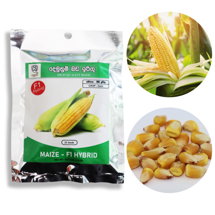 F1 Hybrid Maize Badairigu Beeja Seeds 25 | Daraz.lk
