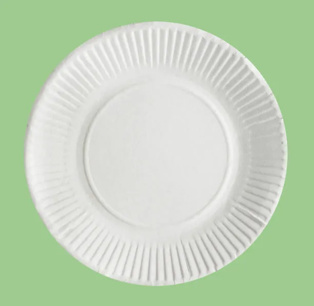 9 Inch Large Disposable Paper Plate Birthday Party, Super Strong Paper ...