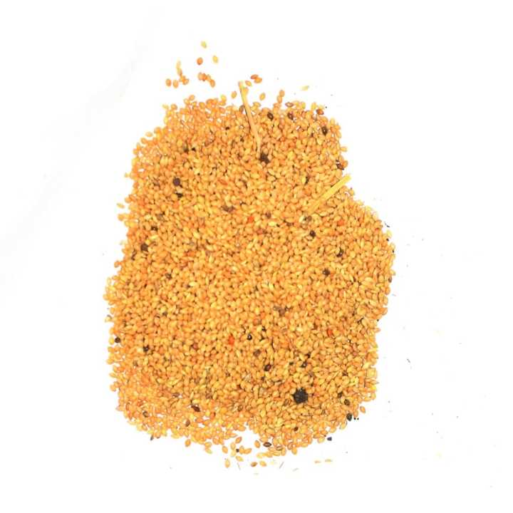 Indian Bajiri For Bird Food 25kg | Daraz.lk