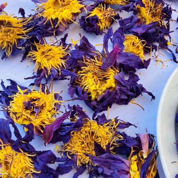 Dried Blue Lotus Flower 1kg | Daraz.lk